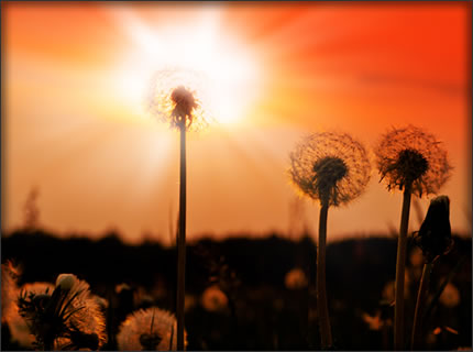 How to Make the Most of the Fading Days of Summer | SayCampusLife ...