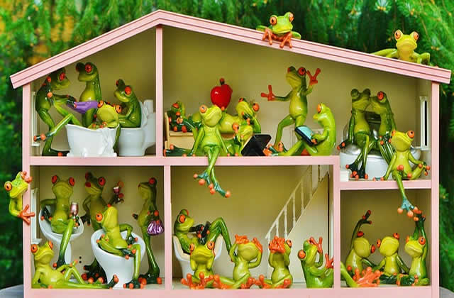 Dorm Life: How to Stay Safe in Close Living Quarters | SayCampusLife ...