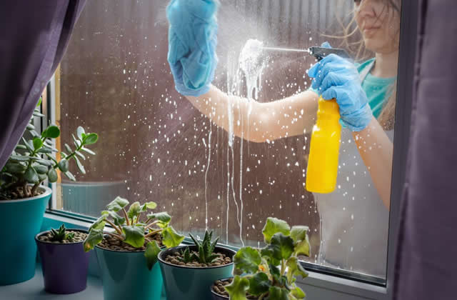 7 Tips to Keep Your Dorm Room Clean and Neat as a College Student ...