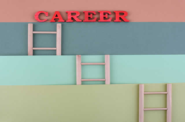 Navigating Your First Year in the Workforce: Tips for New Graduates ...