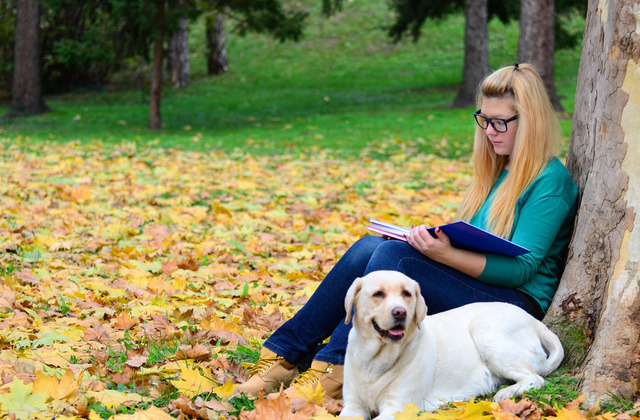 Selecting the Best Dog for Your College Lifestyle | SayCampusLife ...